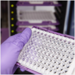 Immucor Neo/Neo Iris - Biocare Inc