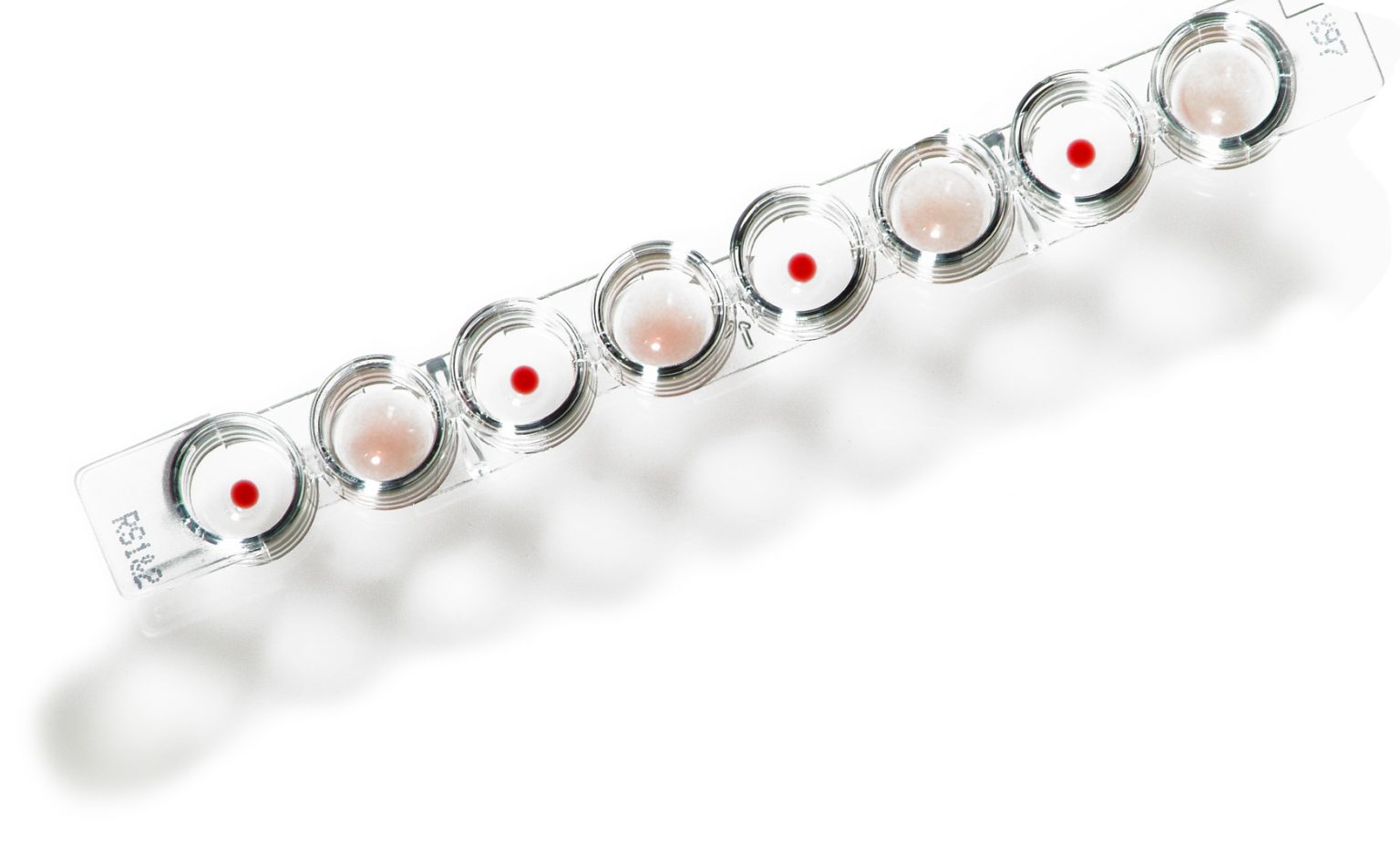 Immucor Capture® Workstation - Biocare Inc